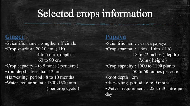 multi-layer farming system | PPTX