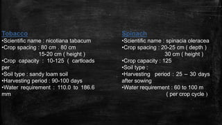 multi-layer farming system | PPTX