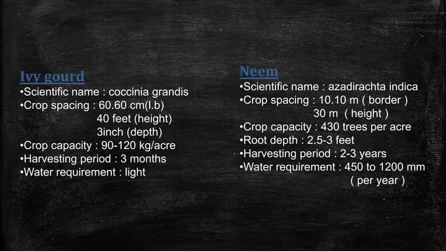 multi-layer farming system | PPTX
