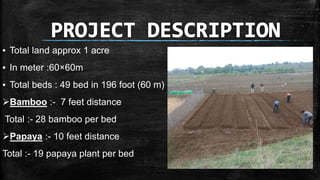 multi-layer farming system | PPTX