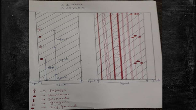 multi-layer farming system | PPTX
