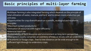 multi-layer farming system | PPTX