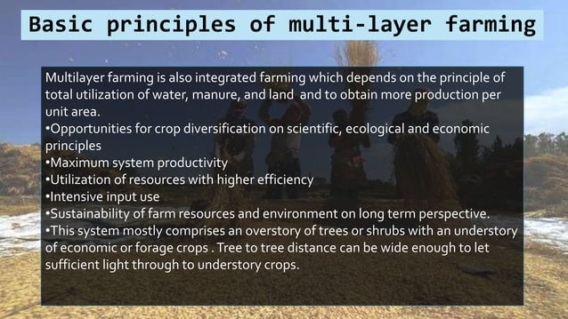 multi-layer farming system | PPTX
