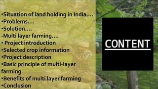 multi-layer farming system | PPTX