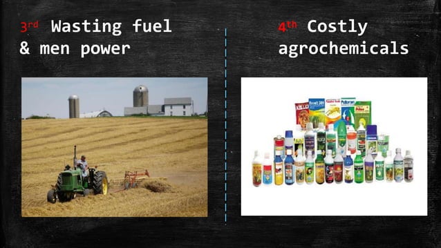 multi-layer farming system | PPTX