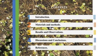 PROJECT PPT SWAPNIL.pptx