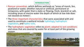 PROJECT PPT SWAPNIL.pptx