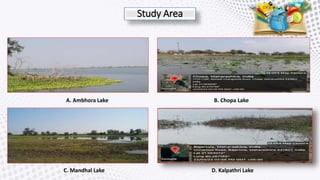 PROJECT PPT SWAPNIL.pptx