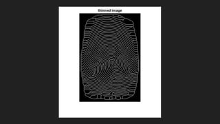 Minutiae-based Fingerprint Matching | PPTX