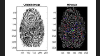 Minutiae-based Fingerprint Matching | PPTX