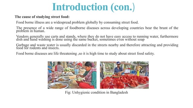 Isolation , Identification and Enumeration of Bacteria from Street Food ...