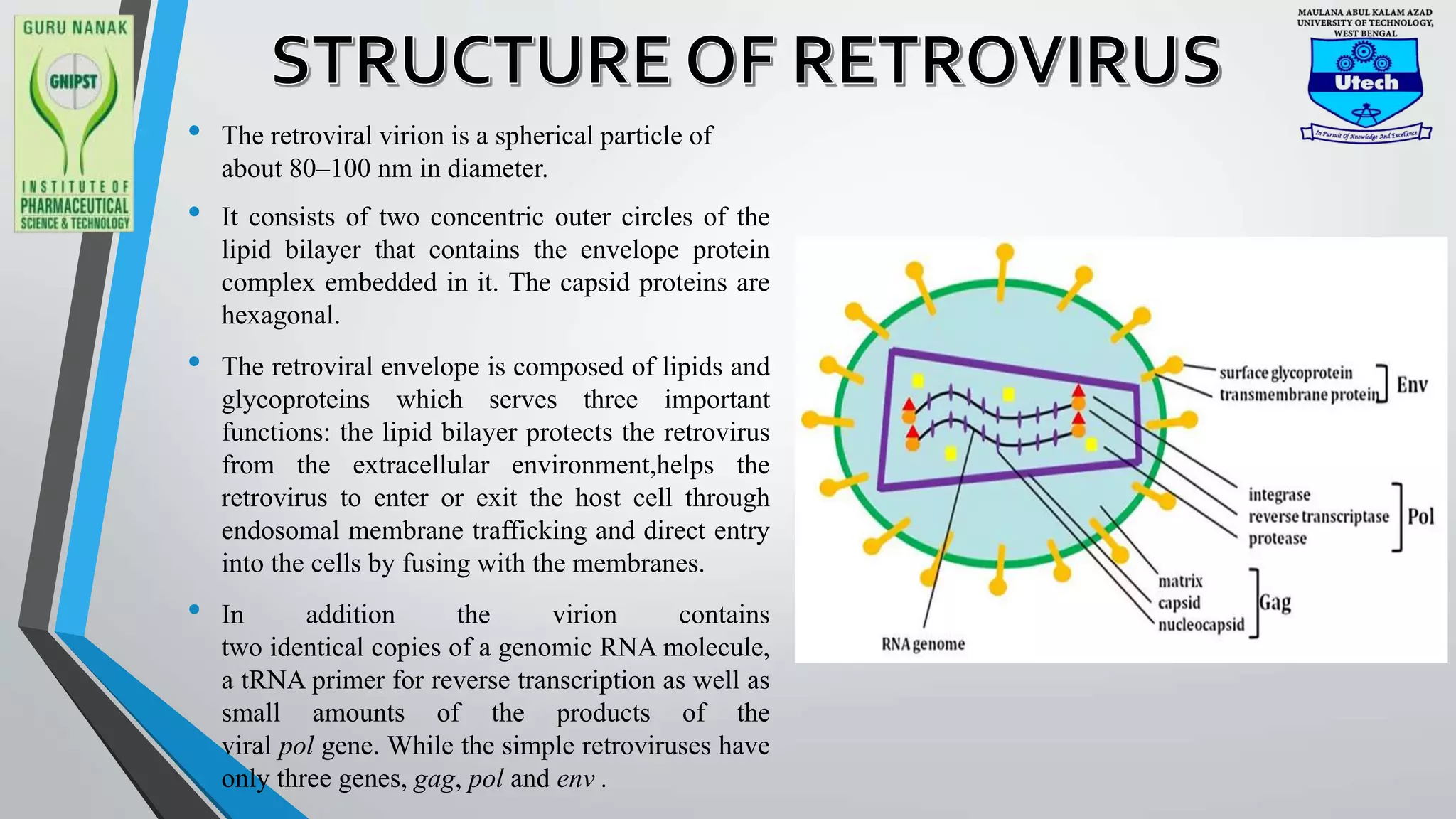 RETROVIRUS MEDIATED GENE TRANSFER AND EXPRESSION CLONING | PPTX