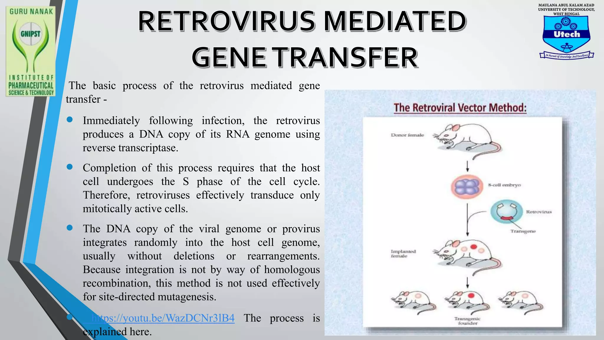 RETROVIRUS MEDIATED GENE TRANSFER AND EXPRESSION CLONING | PPTX