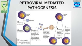 RETROVIRUS MEDIATED GENE TRANSFER AND EXPRESSION CLONING | PPT