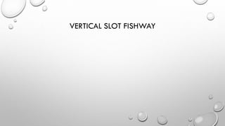 WEIR DESIGN PROJECT for fish ladder design | PPT | Free Download