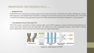 Dna sequence of Classification PROJECT PRESENTATION 2.pptx