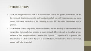 Dna sequence of Classification PROJECT PRESENTATION 2.pptx