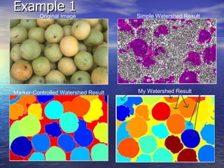 MCS Project - Enhanced Watershed | PPT