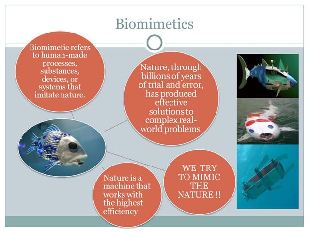 Project Presentation Nus | PPT