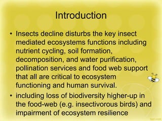 Project presentation on insects | PPT