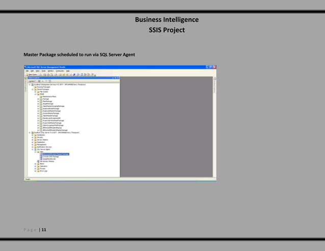 SSIS Project Profile | PPT