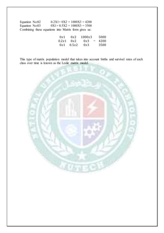 Application of Linear Algebra in real life | DOCX