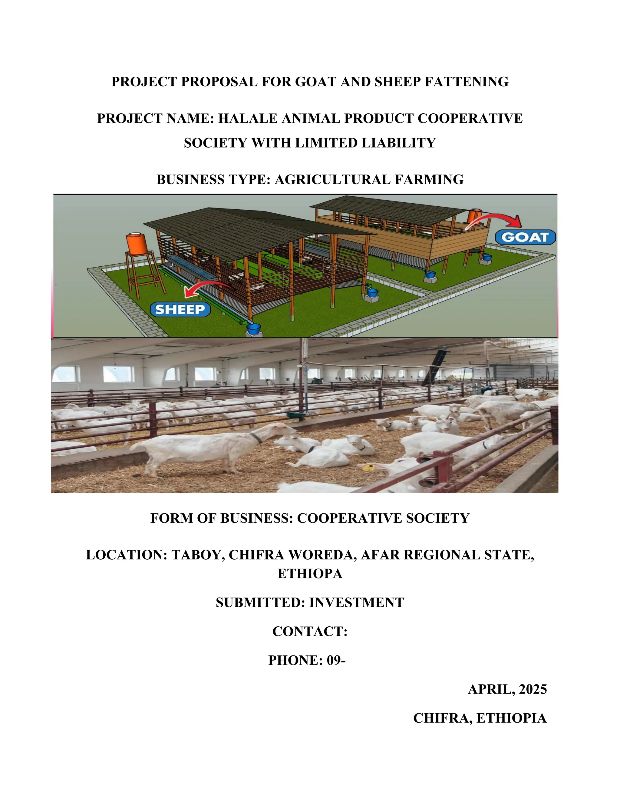 Business Plan (Project Proposal) for Goat and Sheep Fattening Farm in ...