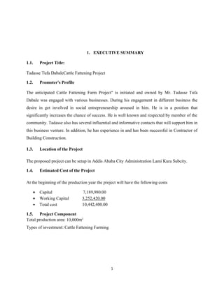 Project Proposal (Investment Proposal) On Cattle Fattening in Lami Kura ...