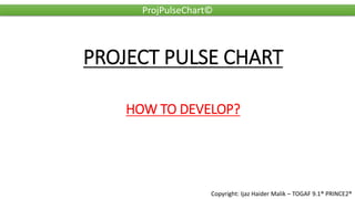 Project Pulse Chart by Ijaz Haider Malik | PDF