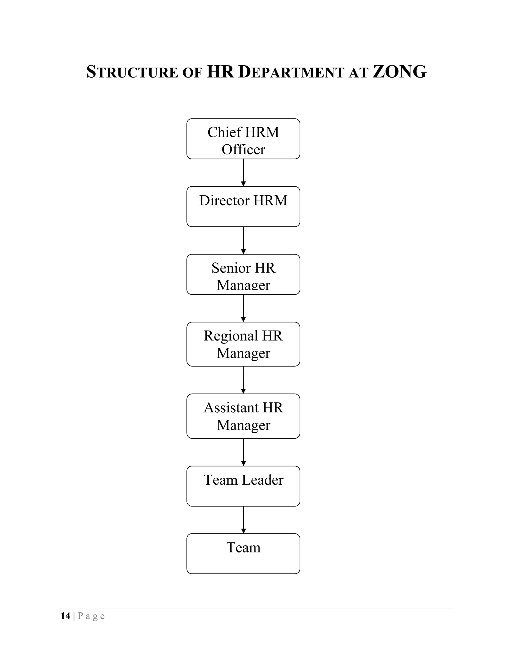 Project report | DOCX