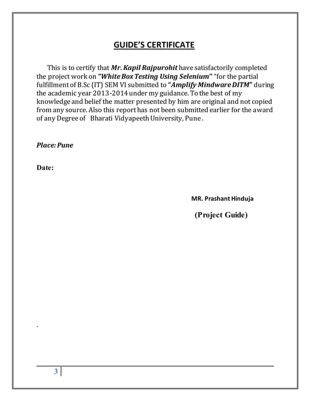 Selenium Testing Project report | DOCX