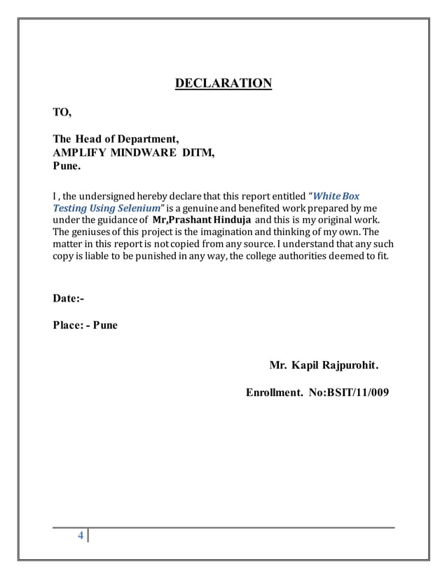 Selenium Testing Project report | DOCX