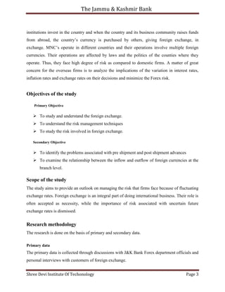 Risk Management in Foreign Exchange | PDF
