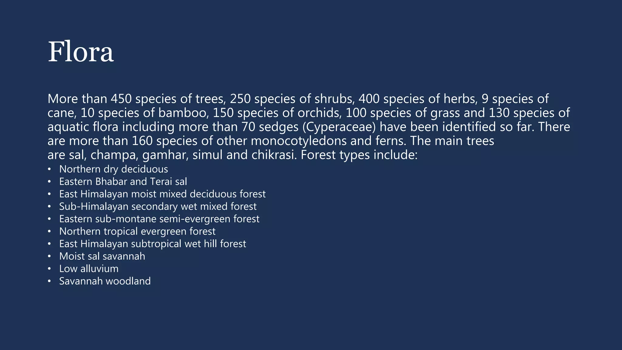 National Prak Infographic Process | PPT