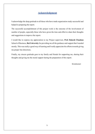 Business administration Project File.pdf