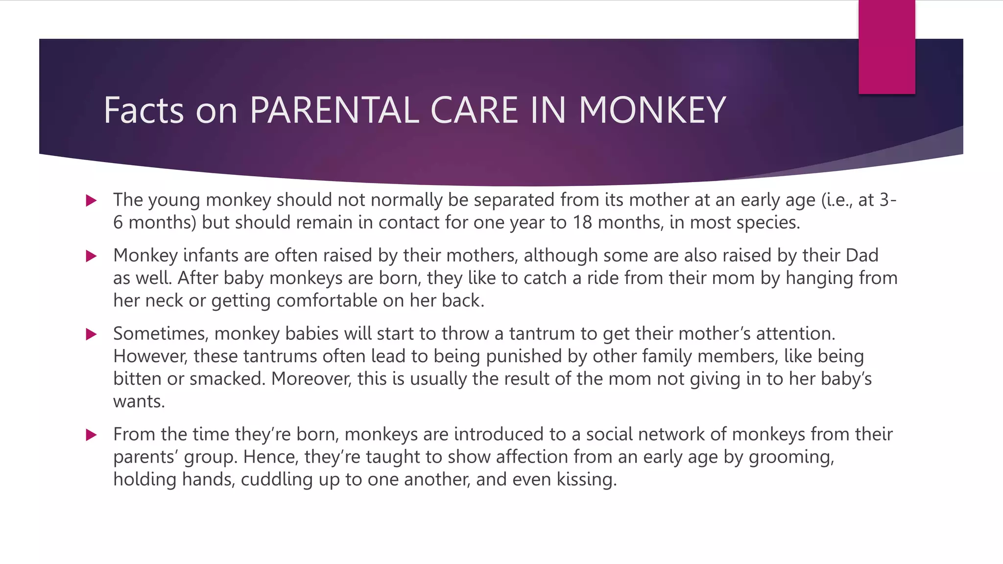 PARENTAL CARE IN MONKEY.pptx