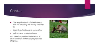 PARENTAL CARE IN MONKEY.pptx