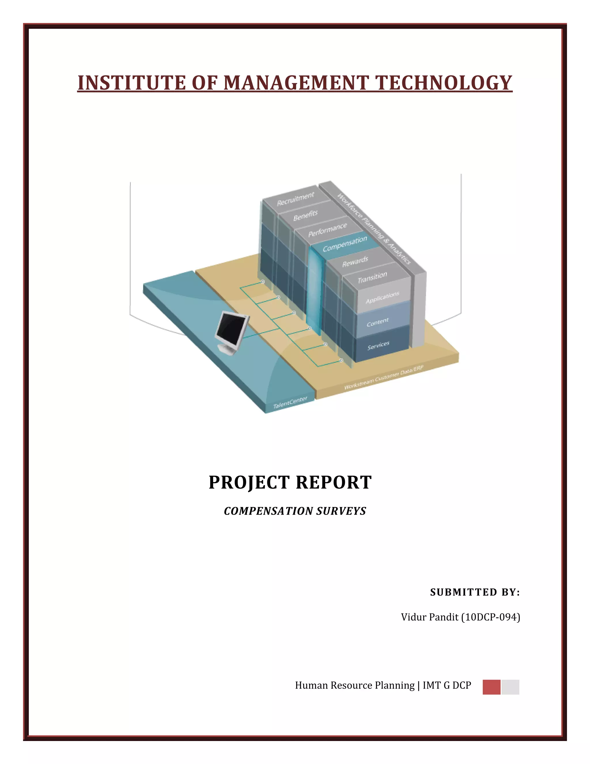 Compensation Survey | PDF