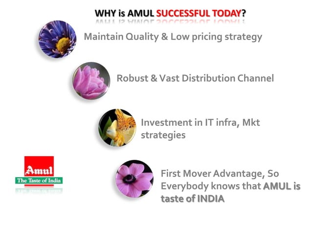 Project report 0n amul | PPT