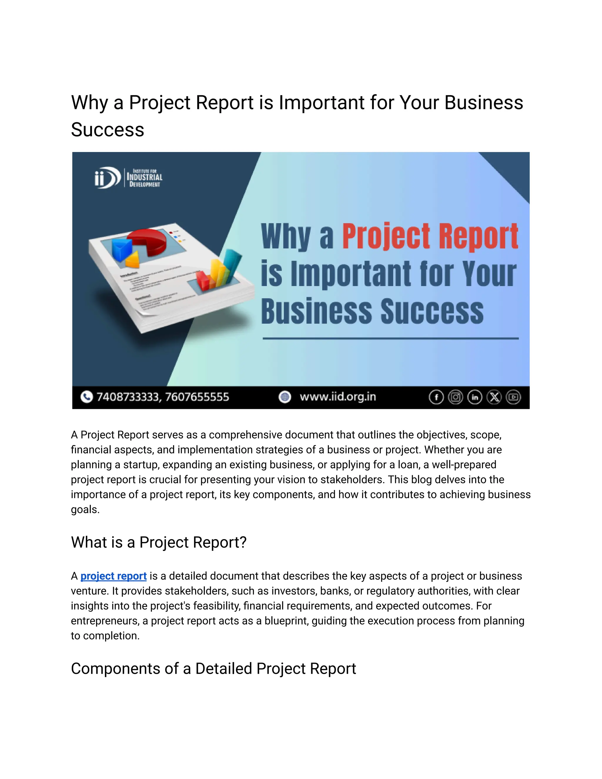 Why a Project Report is Important for Your Business Success | PDF