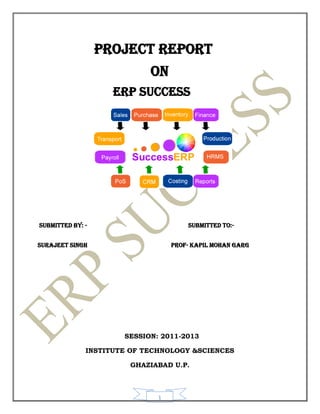 Project report erp success | PDF