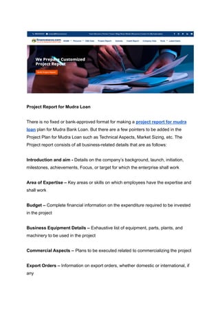 Project Report For Mudra Loan | PDF