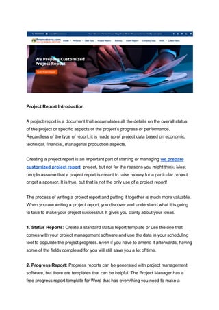 Project Report Introduction | PDF