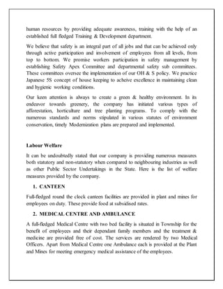 Project report mcl | DOCX