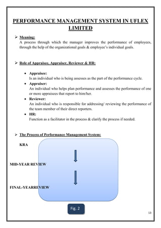 Performance Management System | PDF
