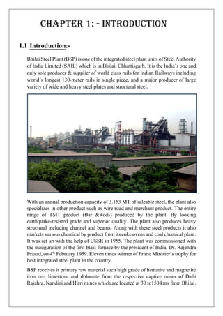 Project report on Automated Strapping Machine (BRM)_Bhilai Steel Plant.pdf