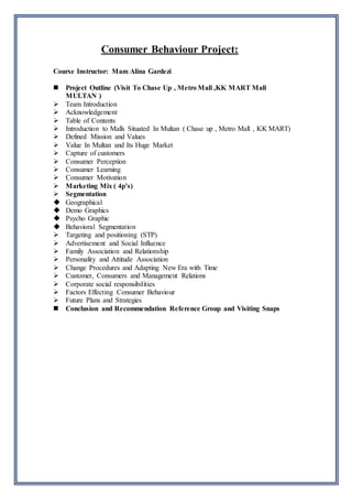 Project report on chase up,kk m art and metro mall multan | DOCX