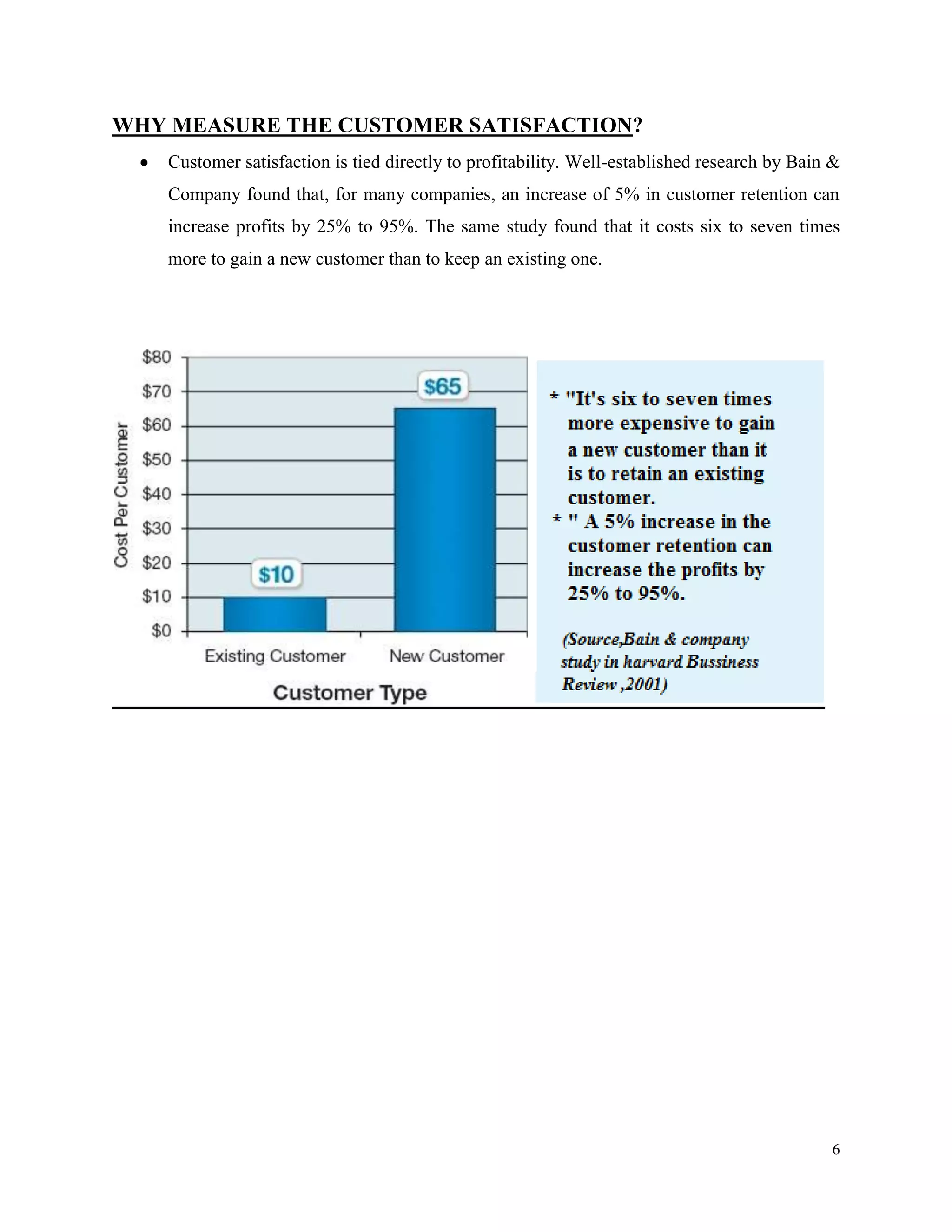 Project report on customer satisfaction | DOCX