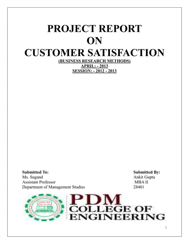 Project report on customer satisfaction | DOCX