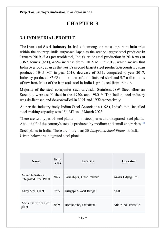 Project report on employee motivation.pdf